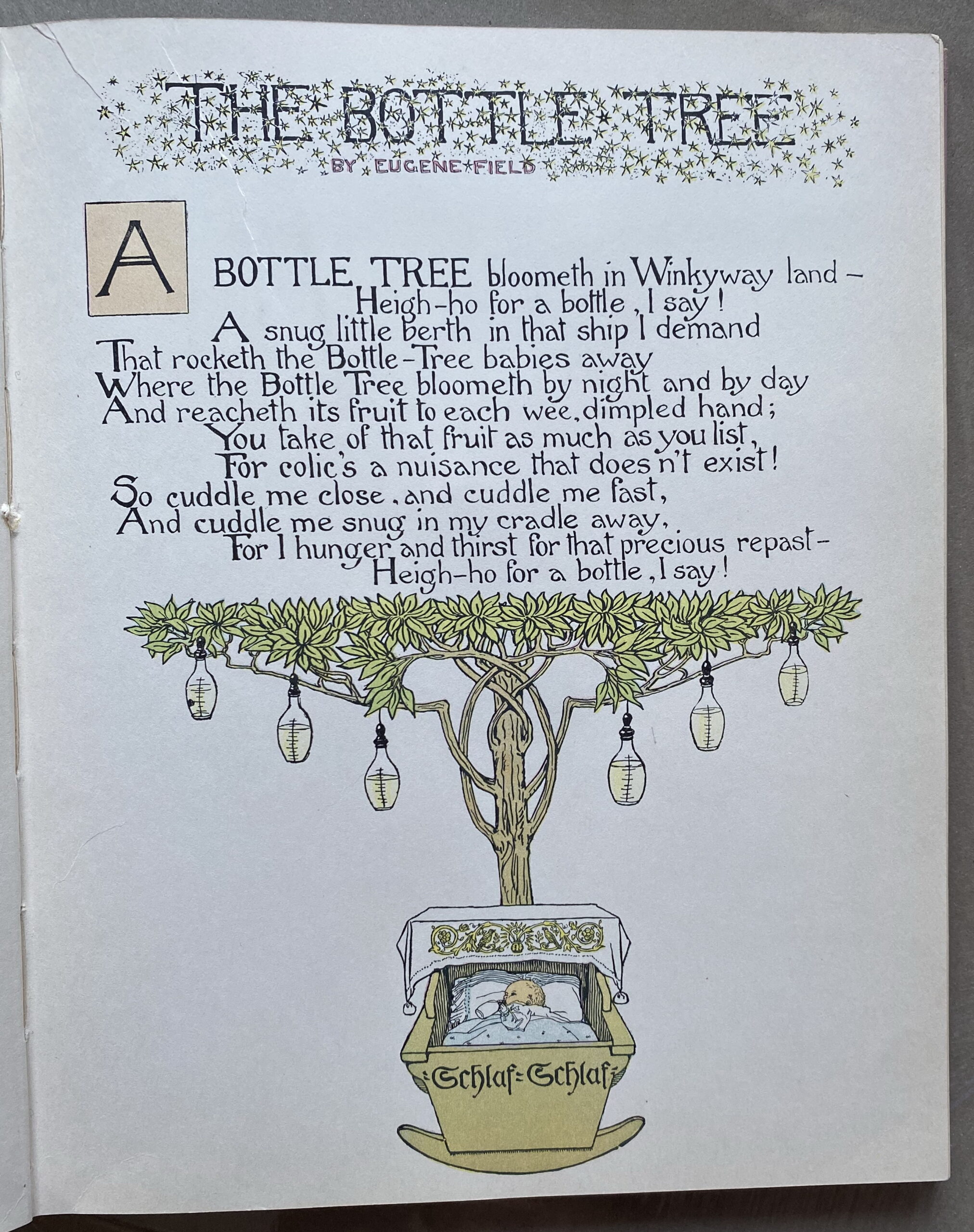 Photo Album #22 - Bowes/Mounce - Nova Scotia Genealogy Gems